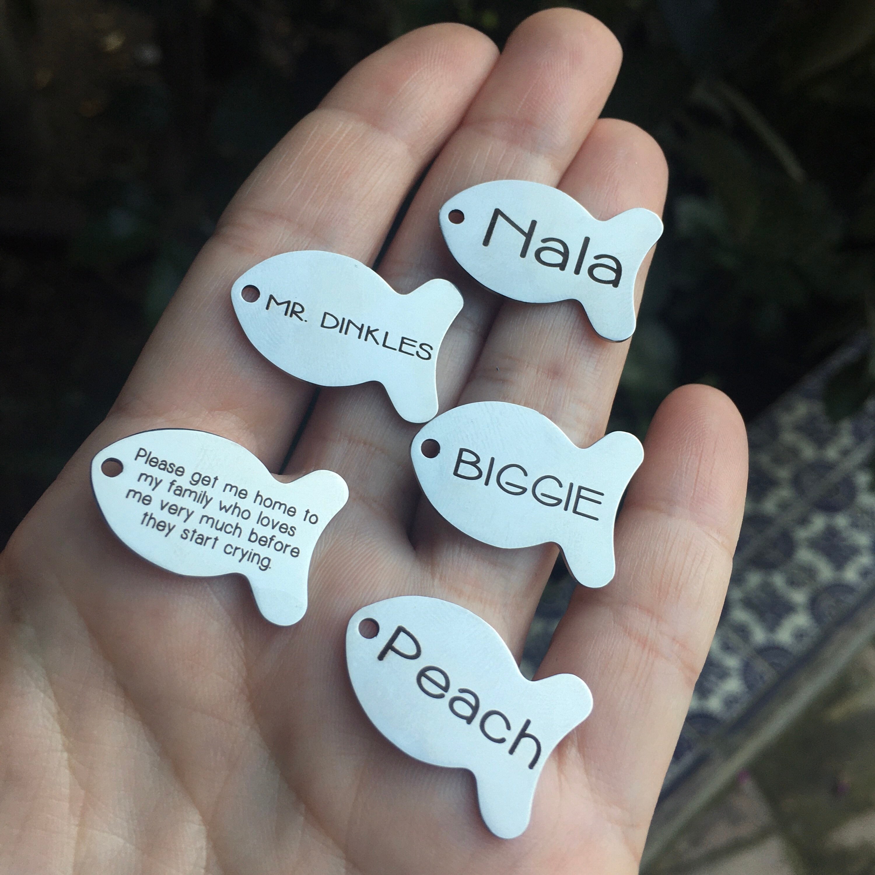 Personalized Cat Tag Small Cat Tag Cat ID Tag Engraved - Etsy