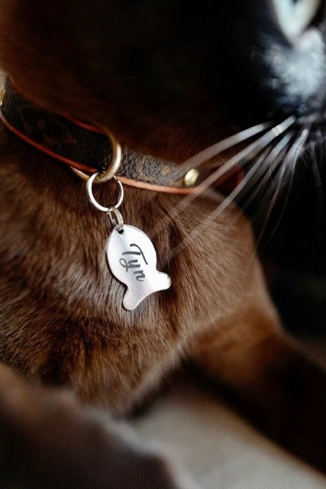 Personalized Cat Tag | Small Cat Tag | Cat ID Tag | Engraved Cat Tag ...