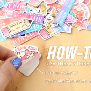 PRIDE Chonky Fat Kitty Cat Orange Ginger Gray Tabby Calico Wirehair ...