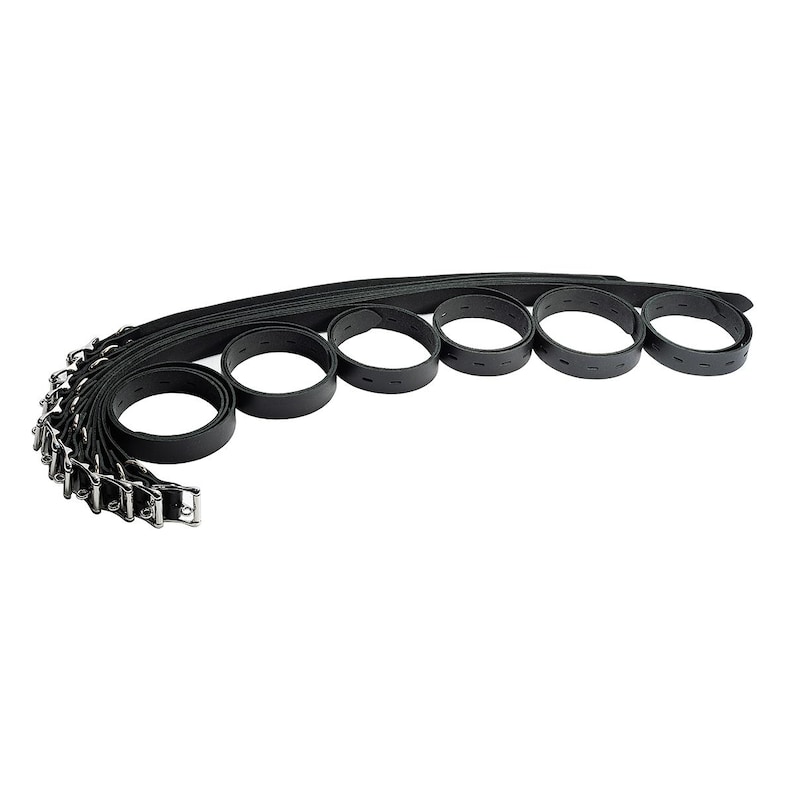 Bondage Straps Set | 10-piece Leather Kit | Premium Bondage Belts ...