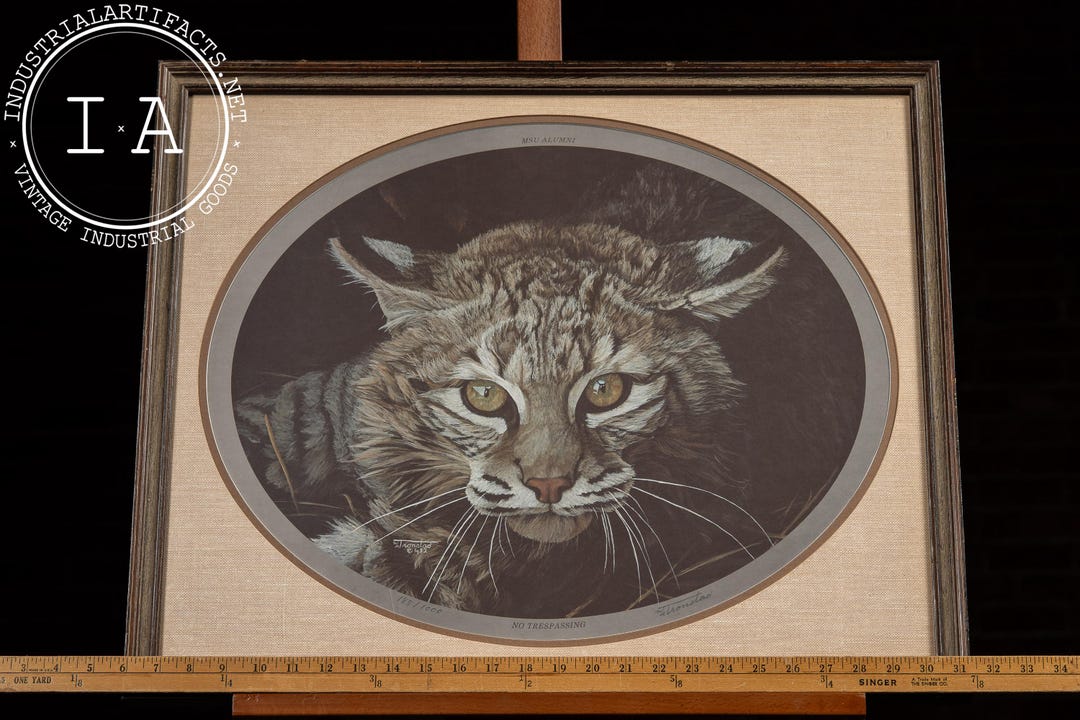 No Trespassing | Tronstad Framed Limited Edition MSU Print, Signed and ...