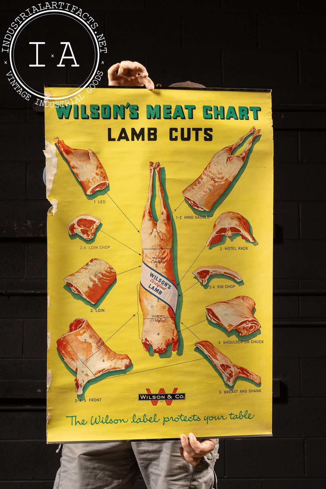 C. 1940s Wilson & Co. Lamb Cut Chart - Etsy
