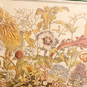 Robert Furber Twelve Months of Flowers Print - "august" - Etsy