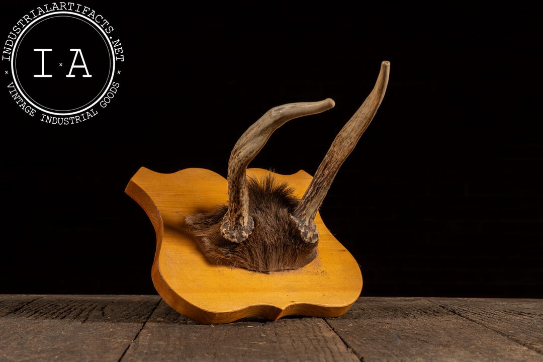 Vintage Folk Art Antler Coat & Hat Rack Mount - Etsy
