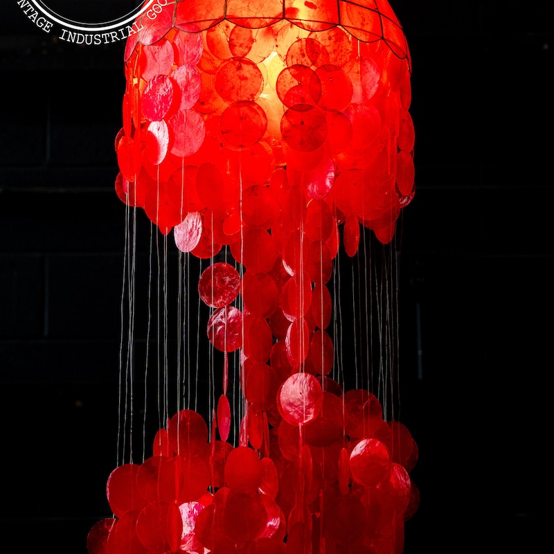 Shell Chandelier - Etsy