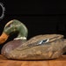 C. 1940 Glass Eye Atco Duck Decoy - Etsy