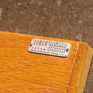 Vintage CENCO Human Ear Model - Etsy