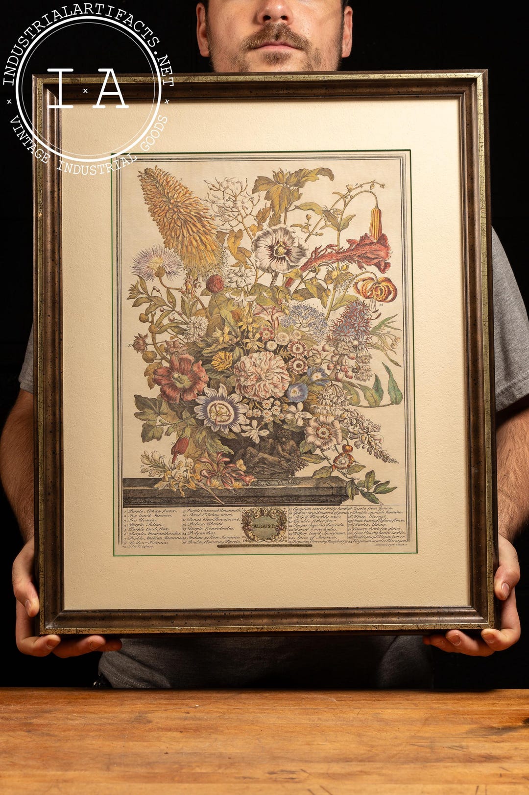 Robert Furber Twelve Months of Flowers Print - "august" - Etsy