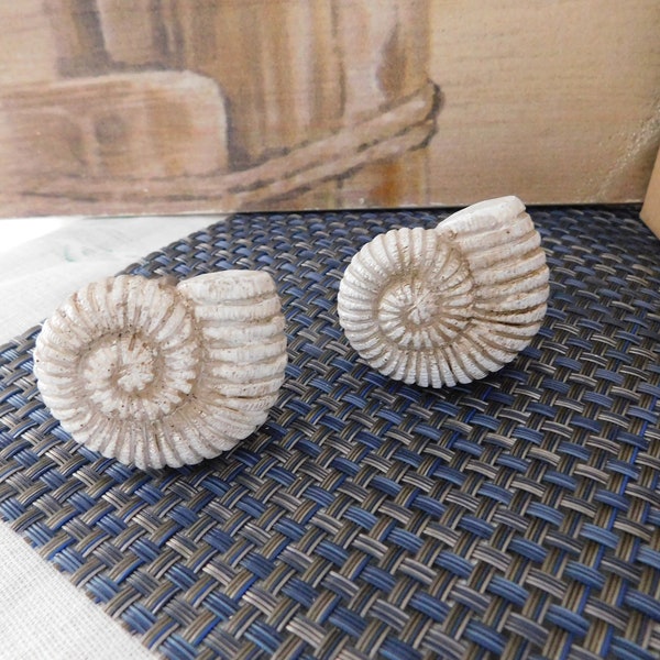 Coastal Cabinet Knobs - Etsy