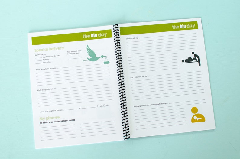 The Bump Book - a 9 Month Pregnancy Journal - Etsy