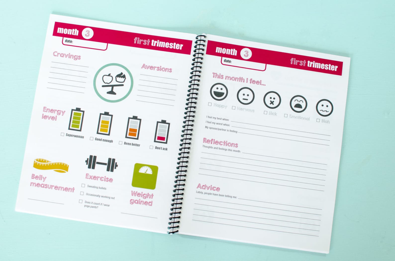 The Bump Book - a 9 Month Pregnancy Journal - Etsy