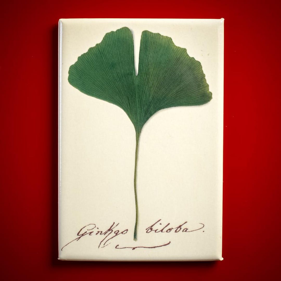 Goethe J.W. Ginkgo Biloba Handschrift - Magnet Kühlschrankmagnet - Etsy
