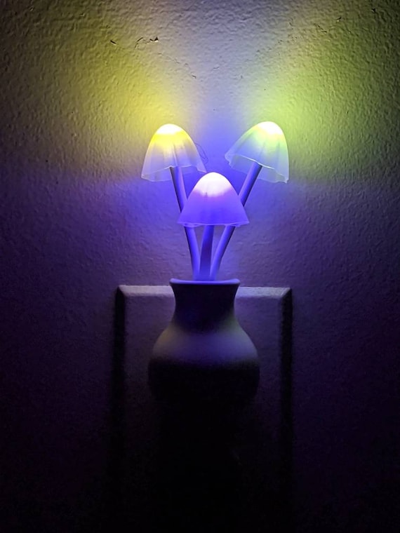 Color Changing Mushroom Night Light style 8 - Etsy