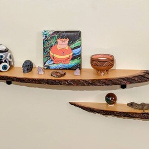 Extra Large Nature Spirit Shelves - Etsy