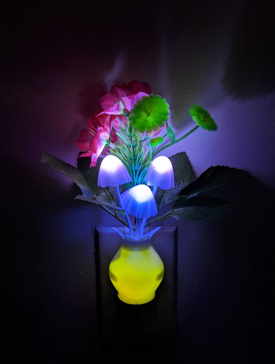 Color Changing Mushroom Night Light With Light up Base style - Etsy