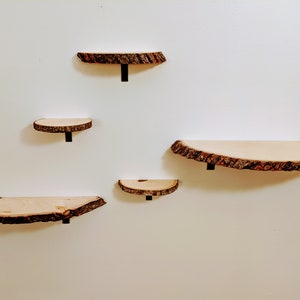 Nature Spirit Shelves - Etsy
