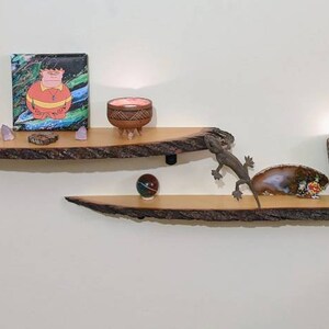 Extra Large Nature Spirit Shelves - Etsy