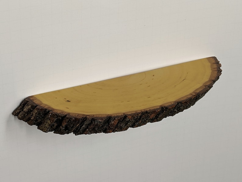 Small Nature Spirit Shelf With Live Edge - Etsy