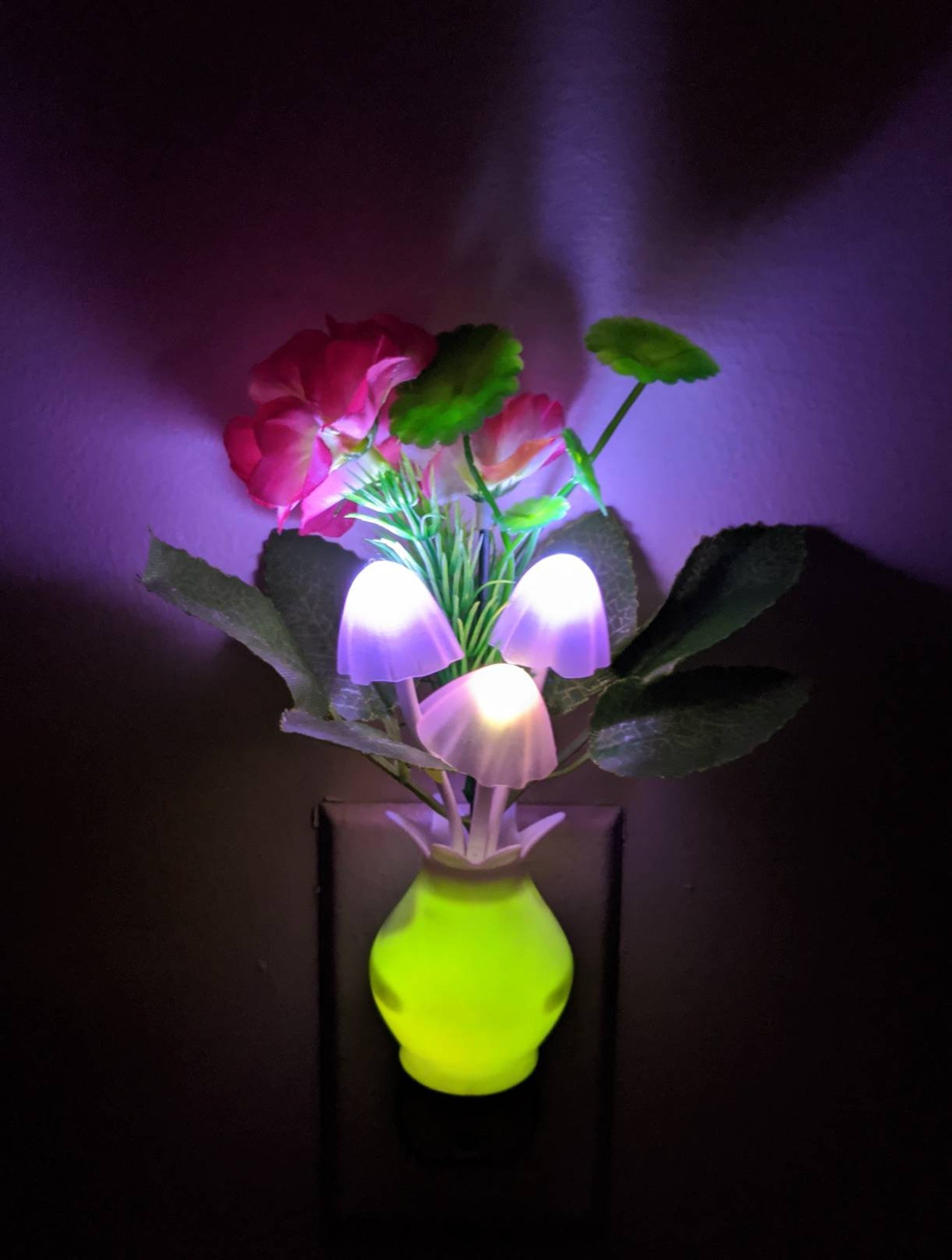 Color Changing Mushroom Night Light With Light up Base style - Etsy