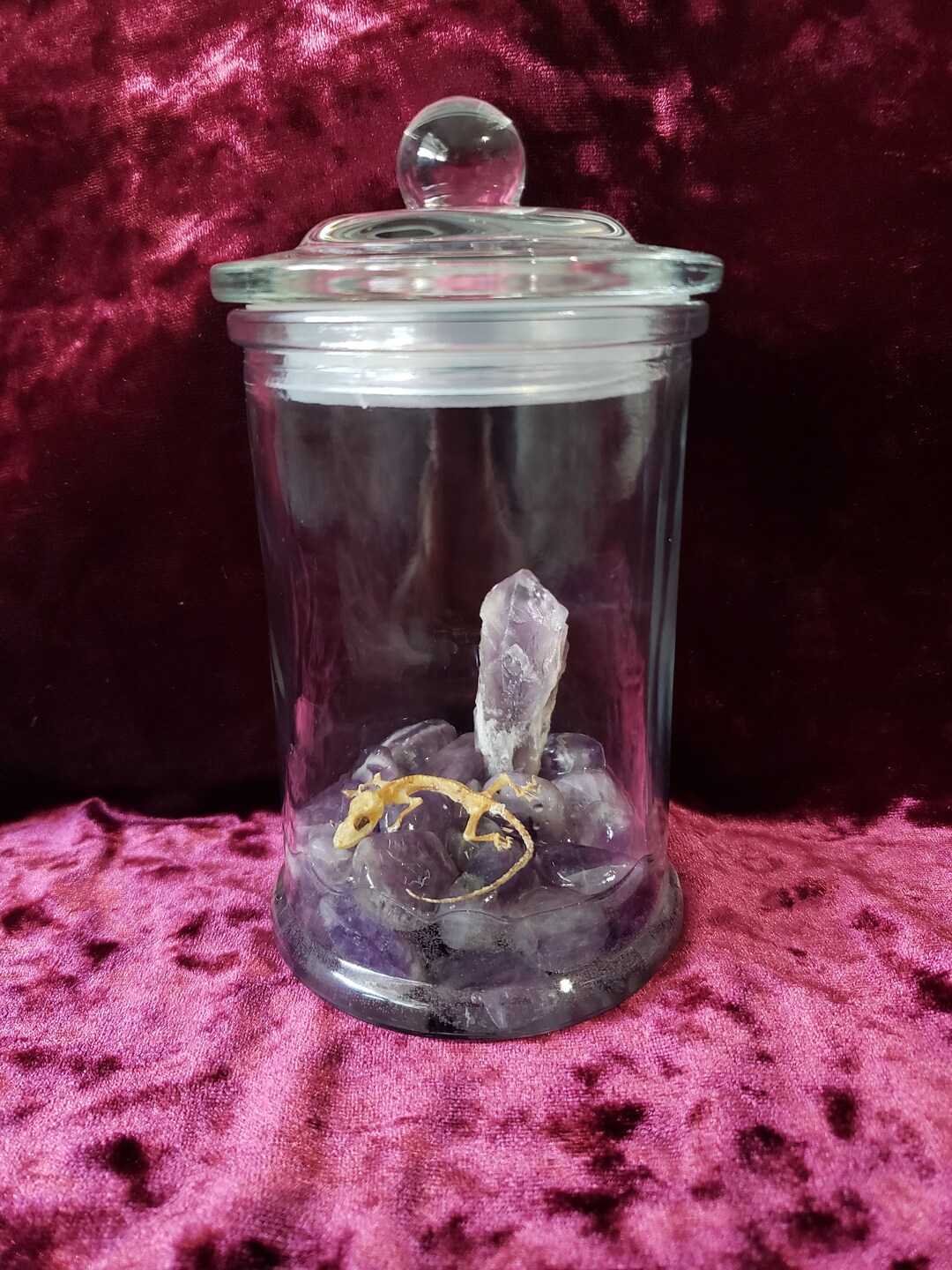 Mummified Gecko With Purple Amethyst Crystals in Glass Jar - Etsy