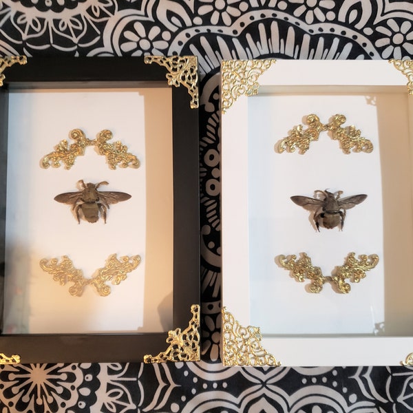 Carpenter Bee Trap - Etsy