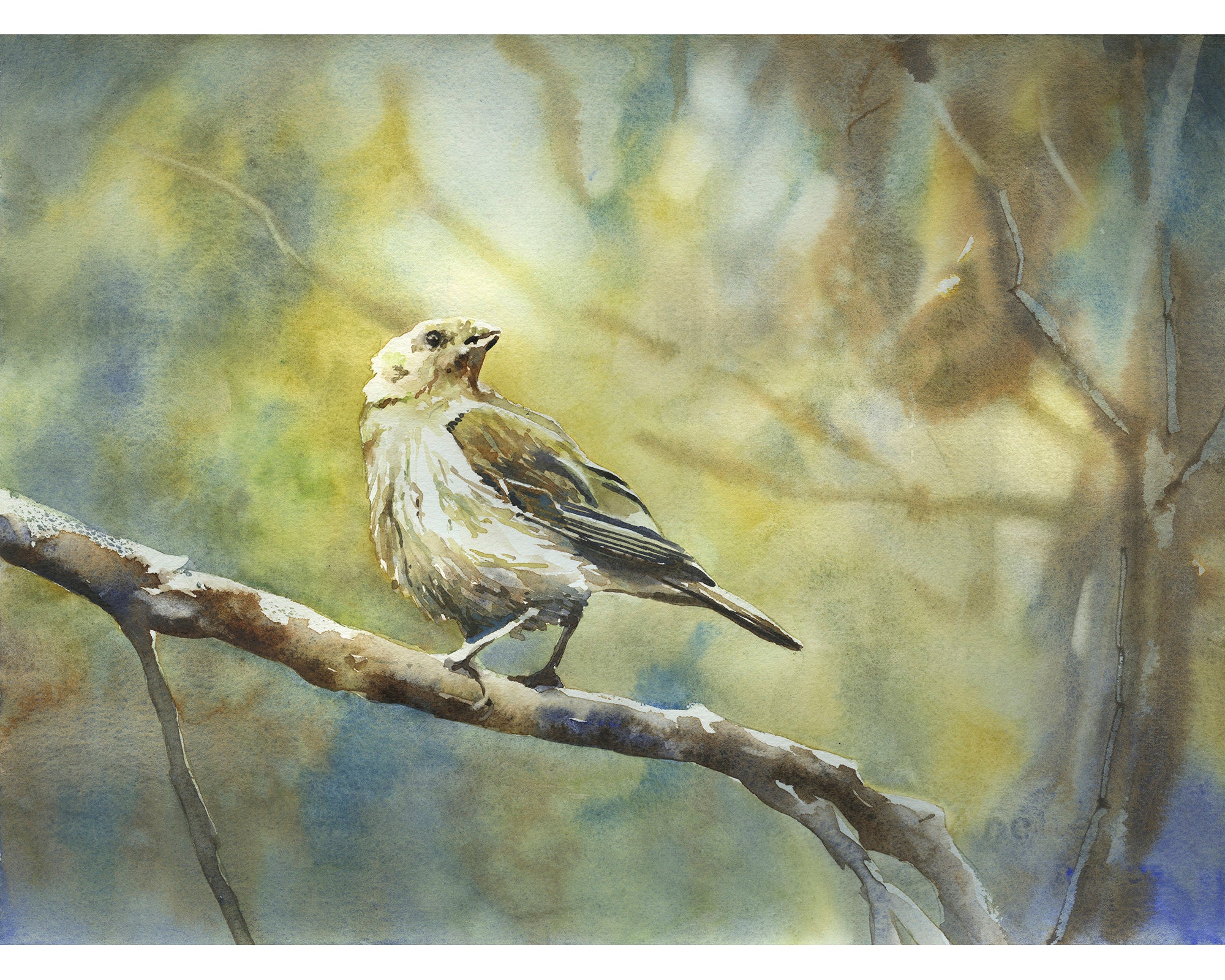 Famous Watercolor Paintings Of Birds