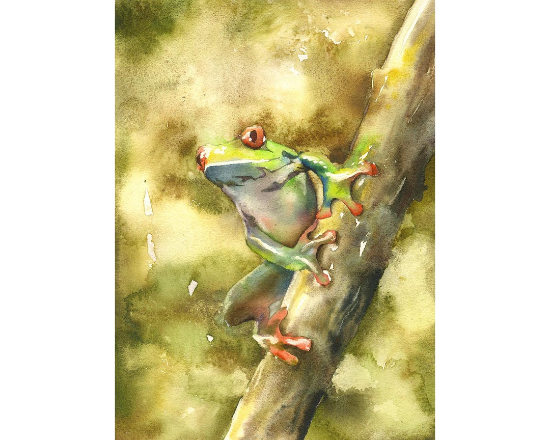 Colorful Tree Frog Art Print, Wildlife Watercolor Painting, Amphibian ...