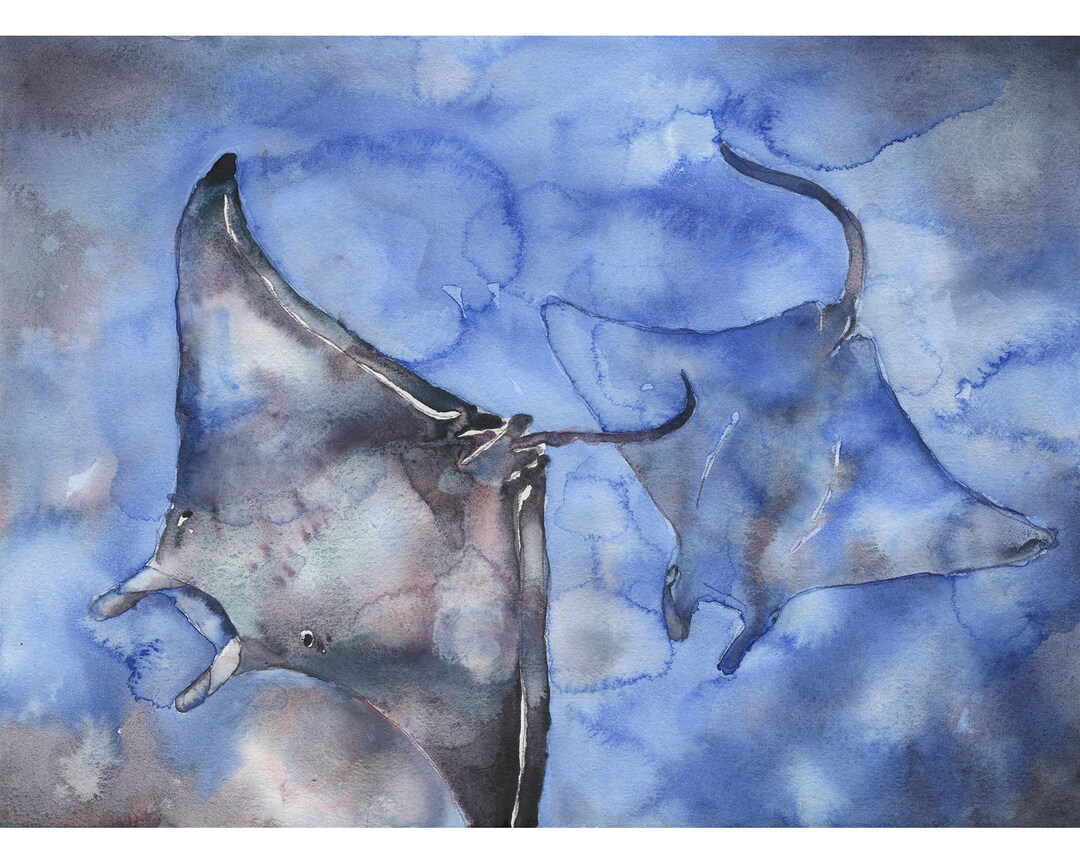 Rays Swimming in Ocean- Watercolor Painting Stingrays in Ocean. Sea ...