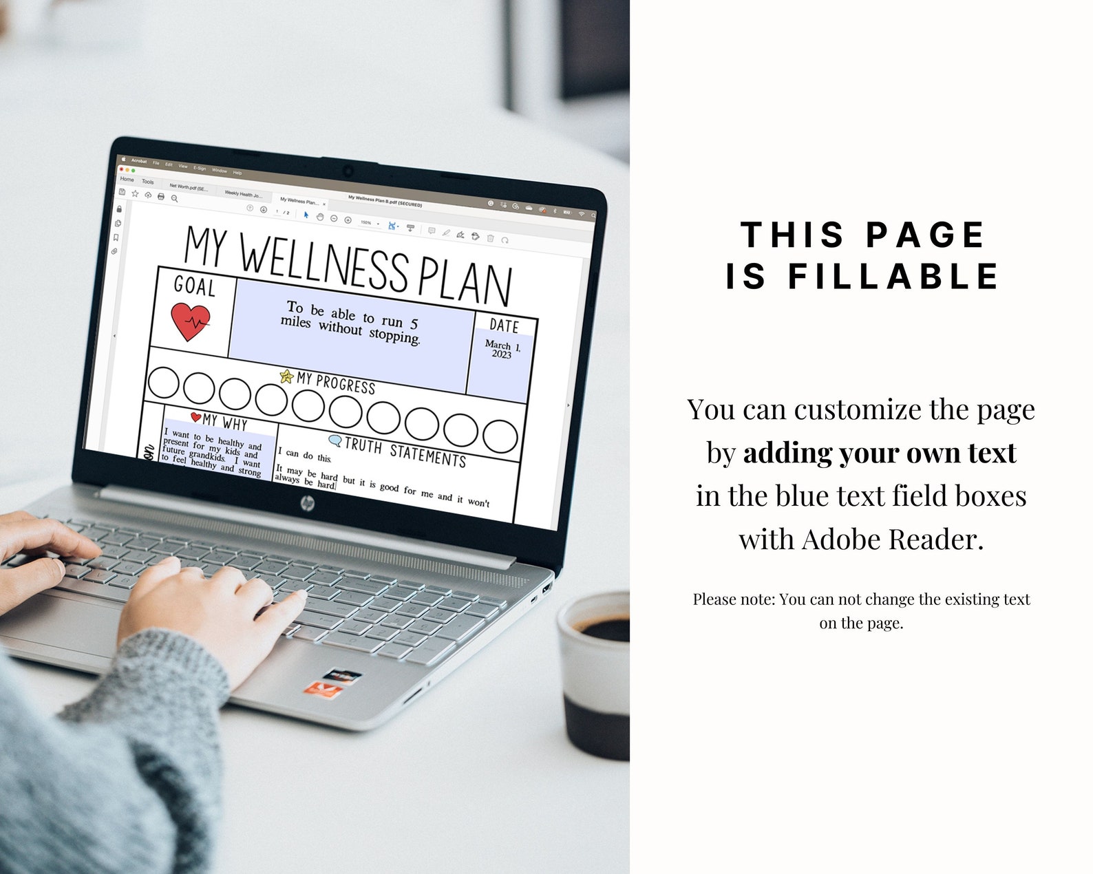 My Wellness Plan Printable and Fillable PDF - Etsy