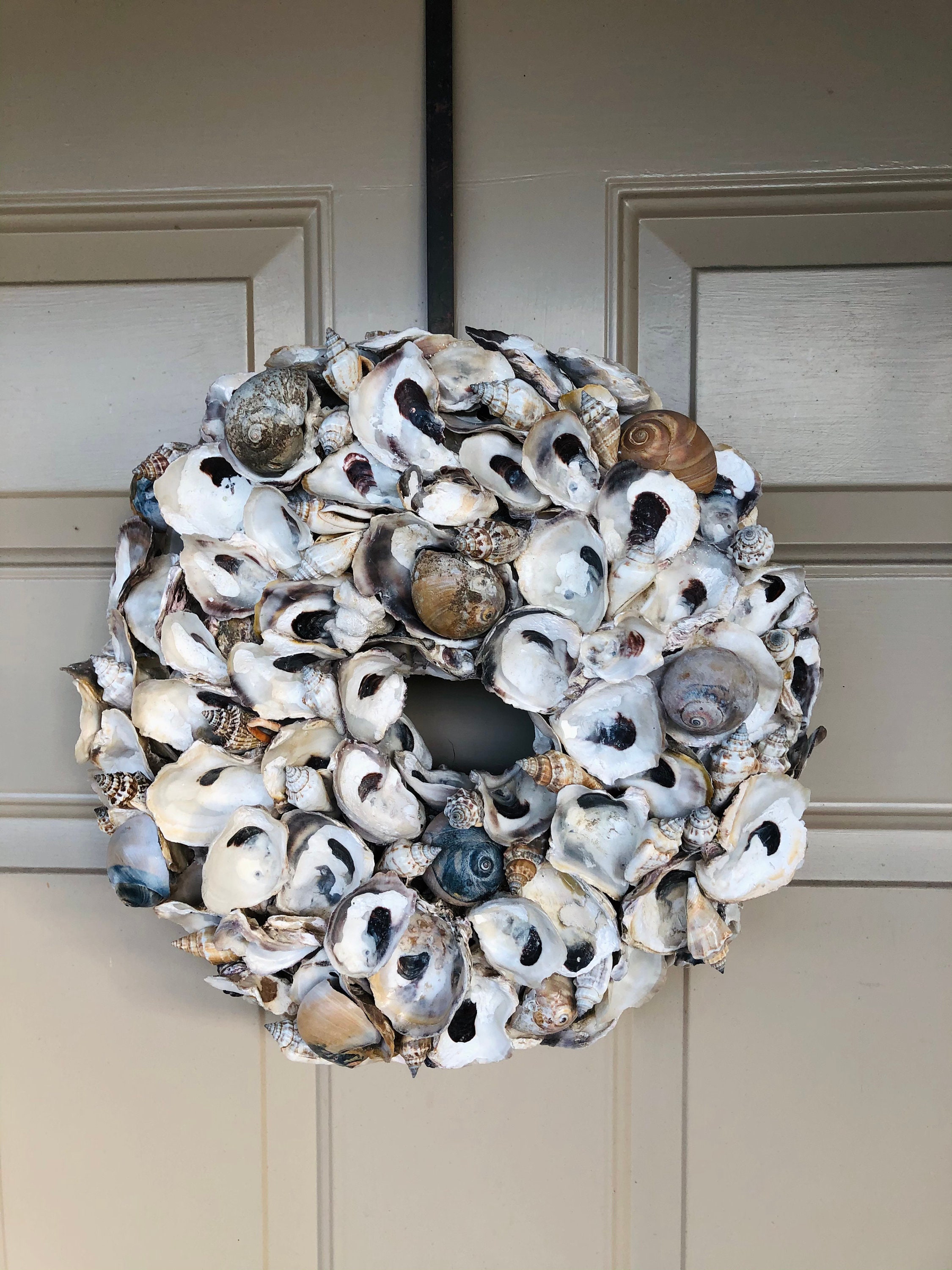 Home Décor Hand Crafted 15.5 Large Moon Snail Shell Vase Planter W ...