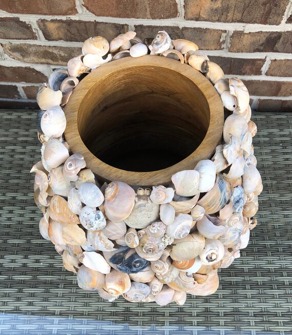 Home Décor Hand Crafted 15.5 Large Moon Snail Shell Vase Planter W ...