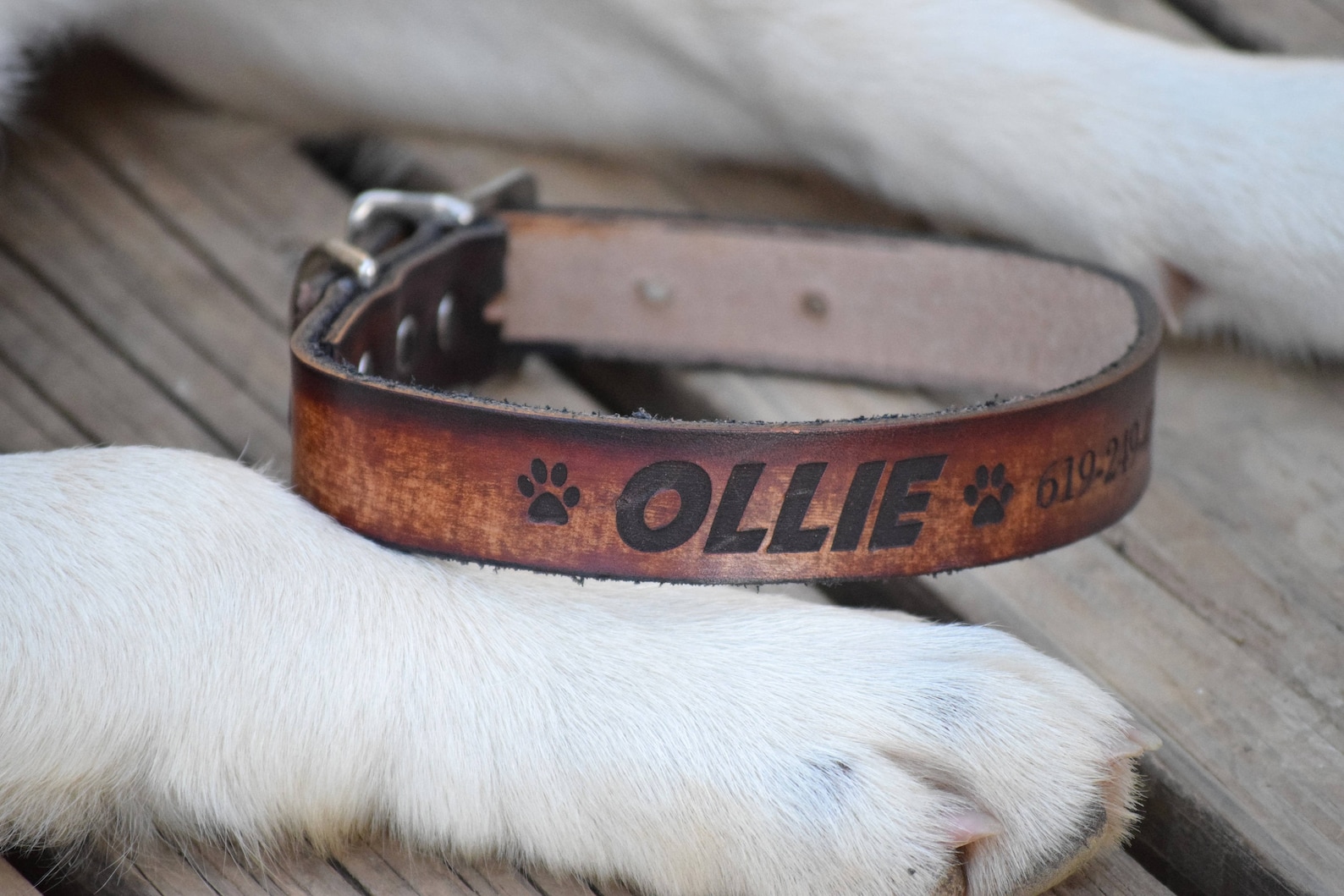 Dog Collar Personalized Dog Collar Laser Engraved Dog Collar - Etsy