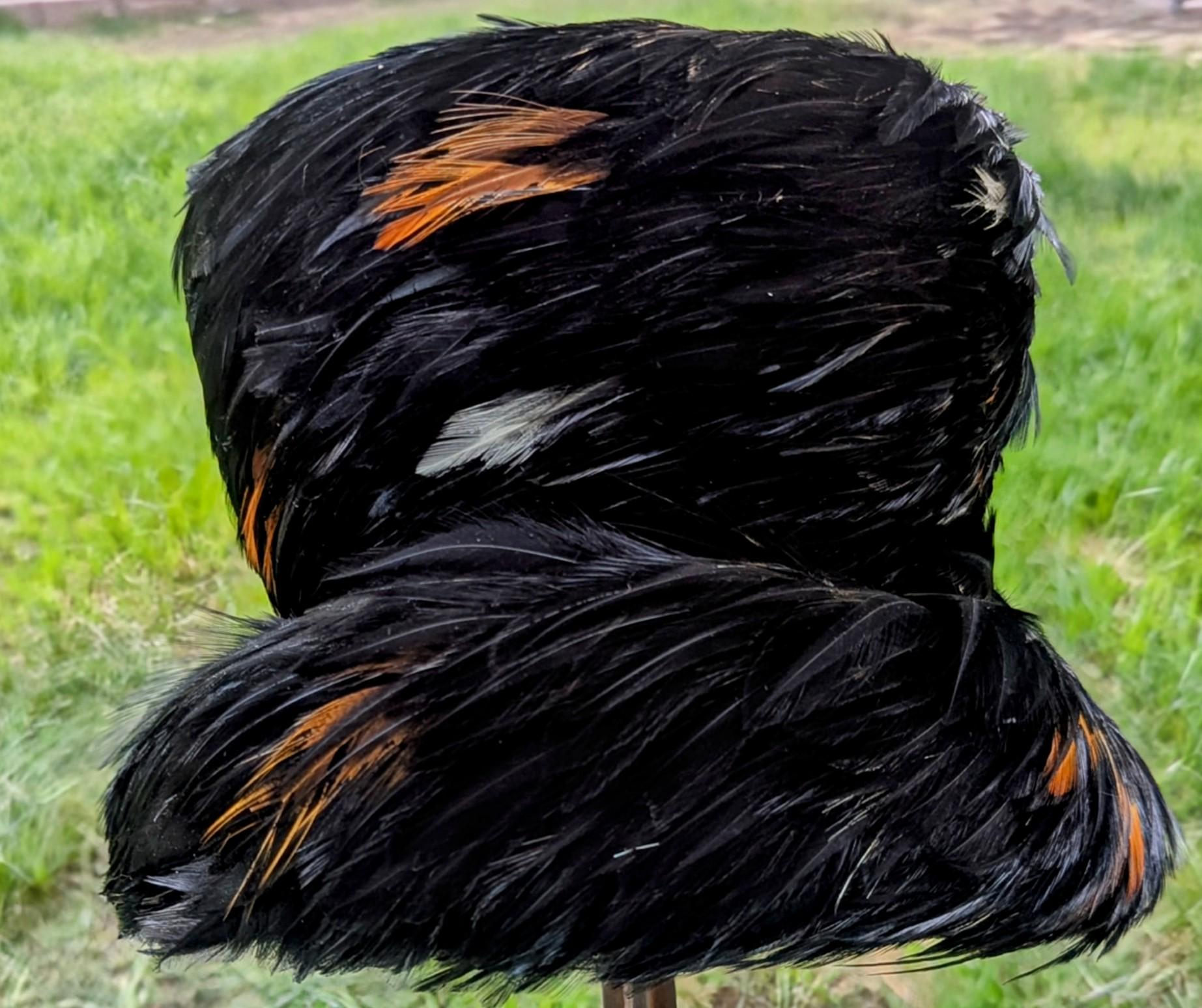 Womens Feather Bucket Hat Black With Multicolored Feathers Union Made ...