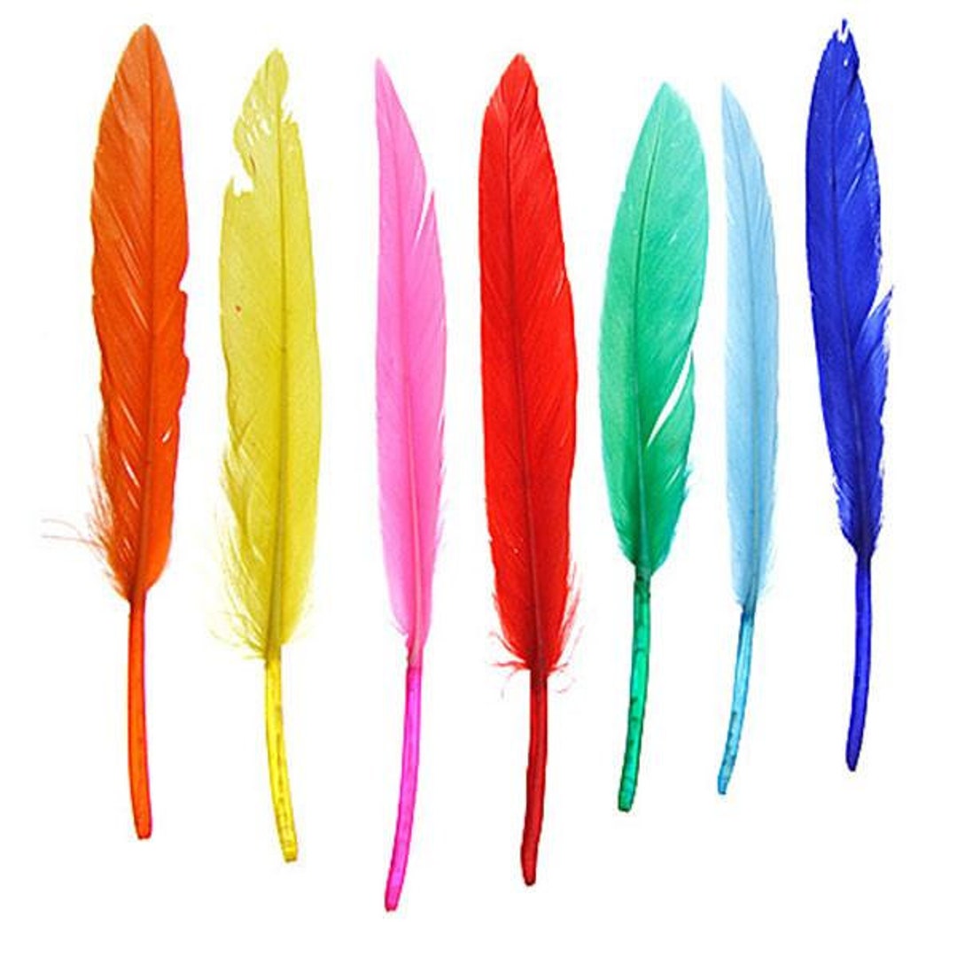 4 Duck Quill 24 Pack Multi - Etsy