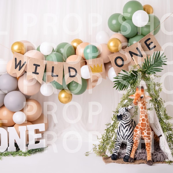 Wild One Backdrop - Etsy
