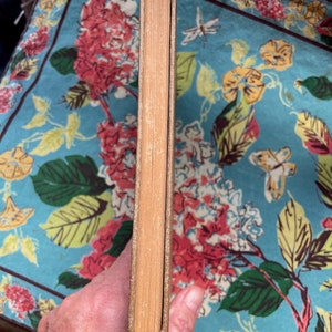 In Mythland M. Helen Beckwith, Antique 1896 Edition. Illustrated by S ...