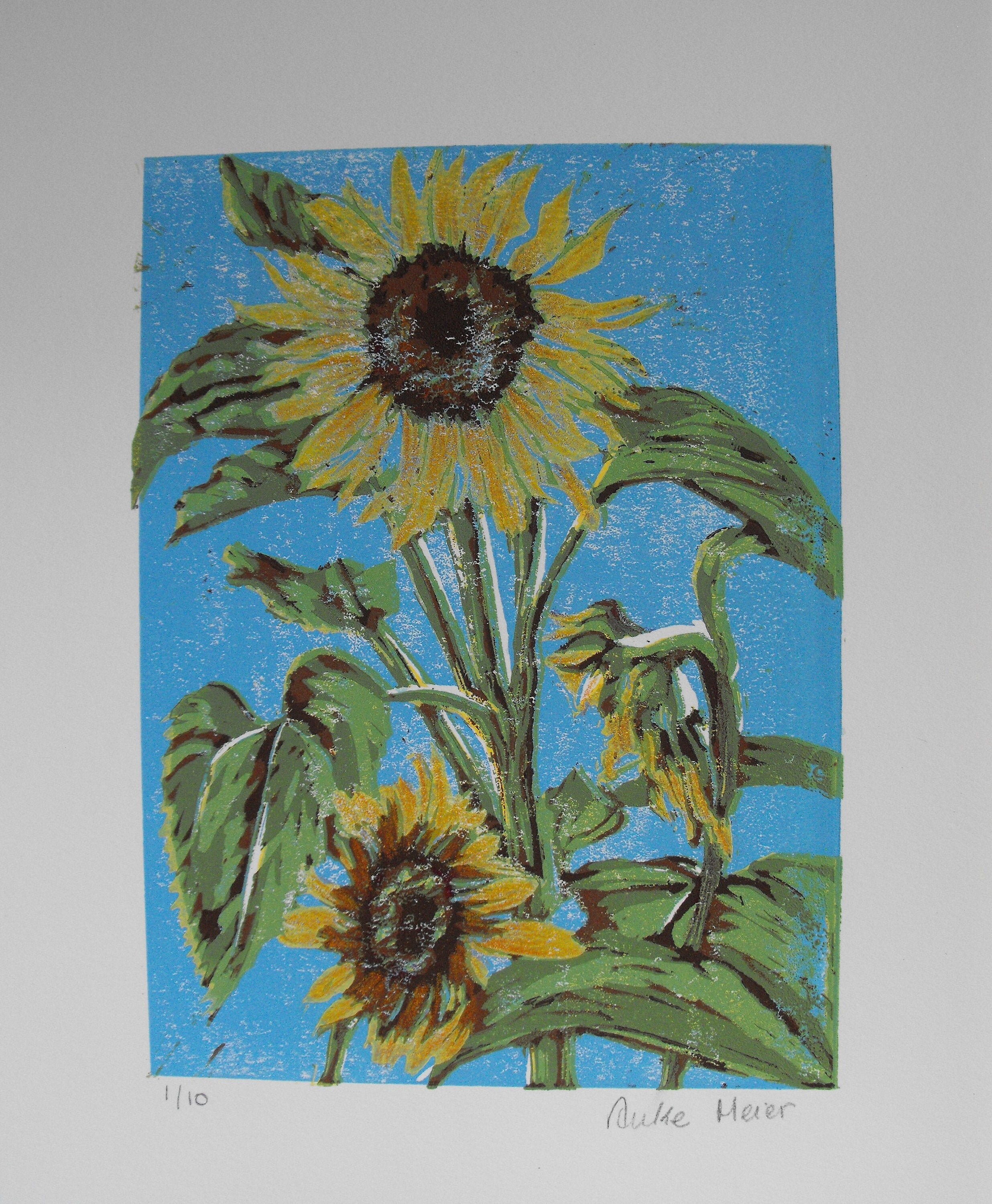 Sunflowers, Original 6 Colour Reduction Linocut Block Print, Relief ...
