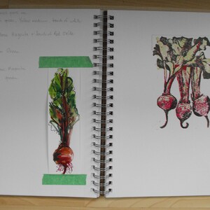 Beet Print, Fruit and Vegetable Kitchen Décor, Original Linocut Colour ...