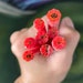 Momka’s Glass -- Gerber Red -- MB153 -- Borosilicate Glass Rods -- COE ...