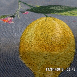 Lemon Embroidery - Machine Embroidery Design Tested - Etsy