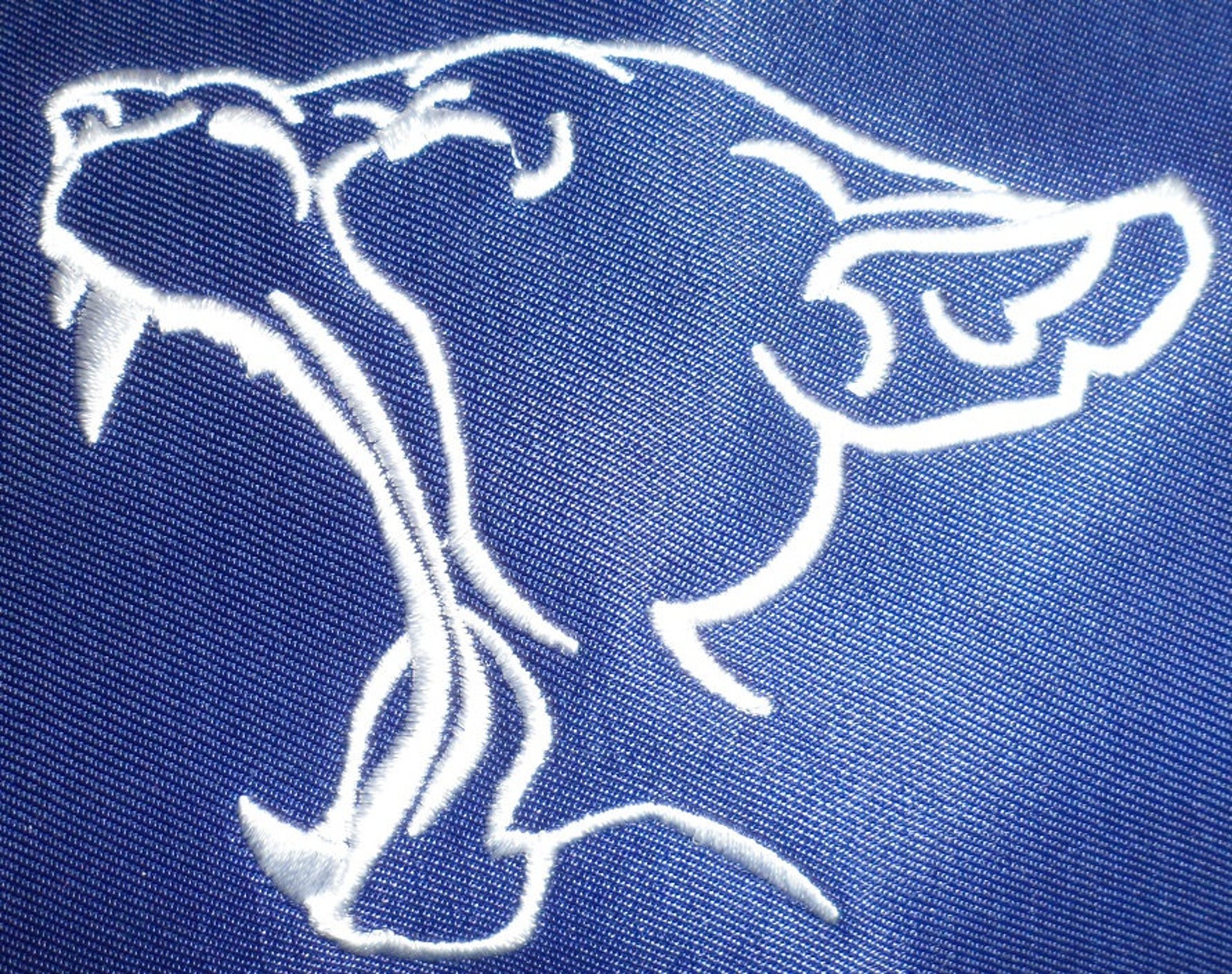 Puma Machine Embroidery Design - Etsy