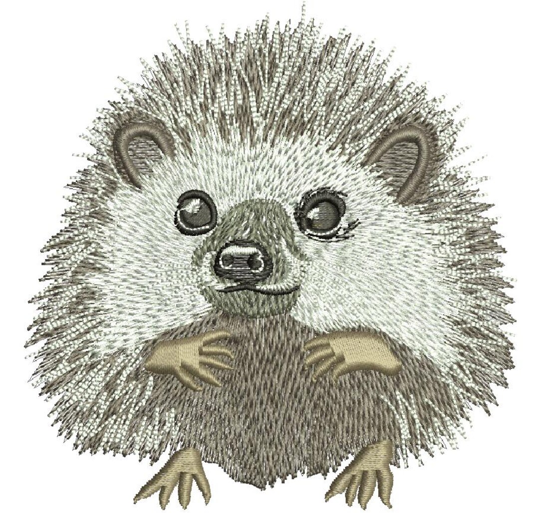 Hedgehog Machine Embroidery Design - Etsy