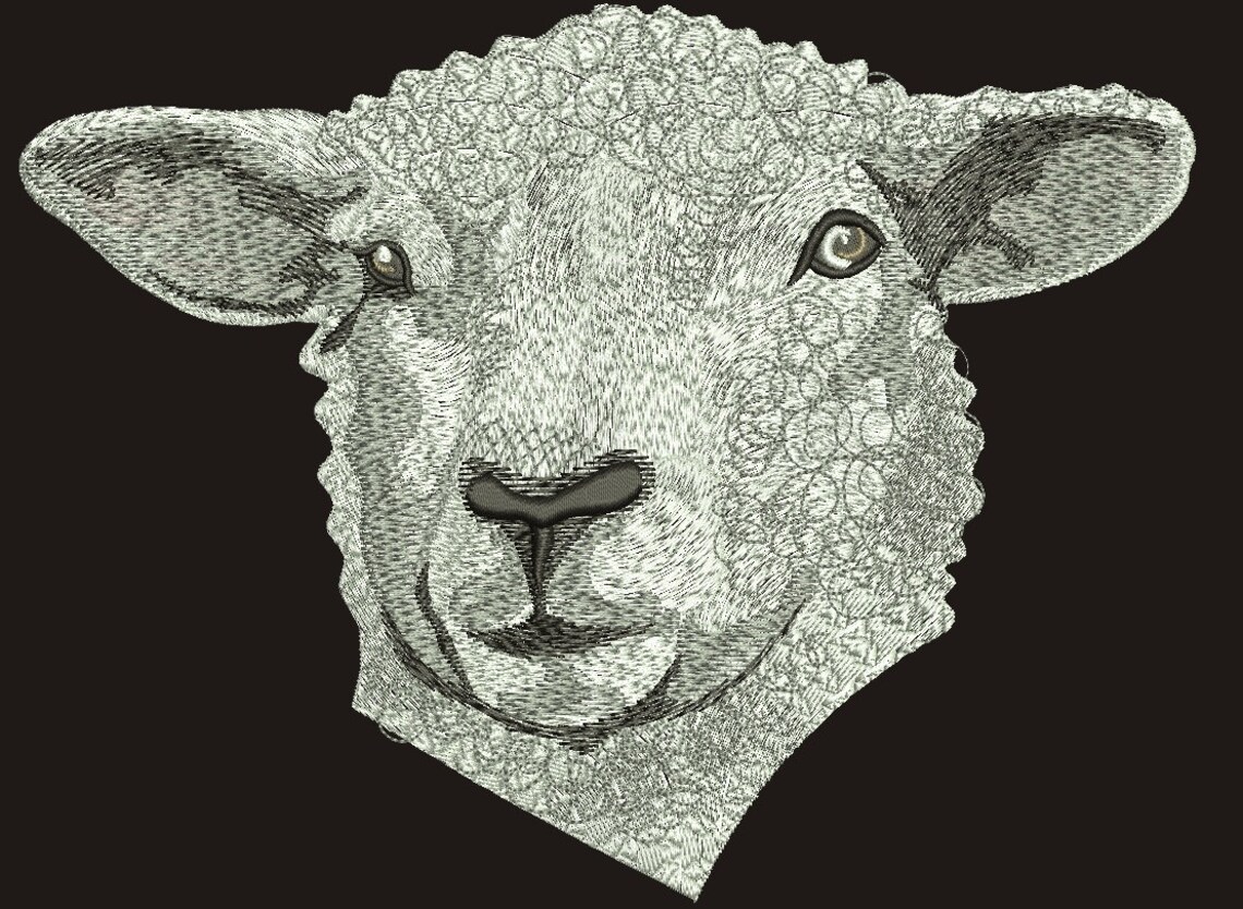 Lamb sheep Machine Embroidery Design - Etsy