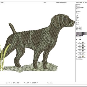 Hunting Dog Machine Embroidery Design / INSTANT DOWNLOAD / - Etsy