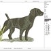 Hunting Dog Machine Embroidery Design / INSTANT DOWNLOAD / - Etsy