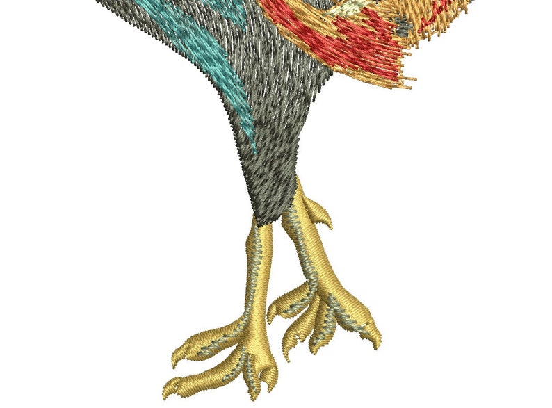 Rooster Large Size Machine Embroidery Design - Etsy