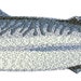 Mackerel Fish Machine Embroidery Design Instant Download - Etsy