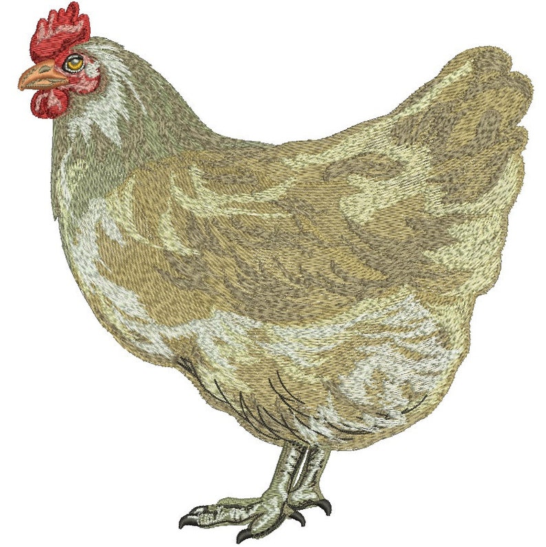 Realistic Chicken Machine Embroidery Design - Etsy