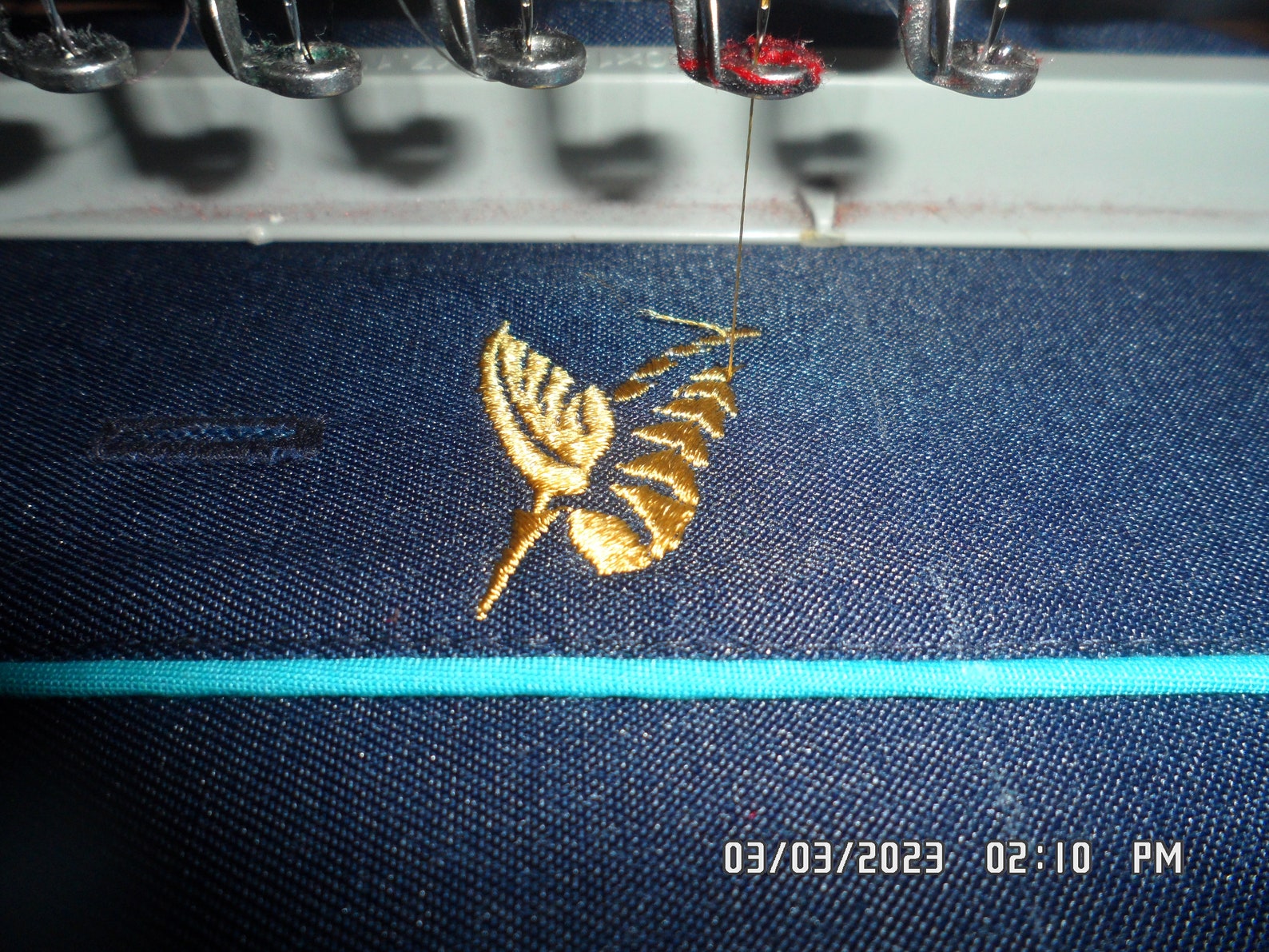 Sturgeon Machine Embroidery Designs Instantly Download - Etsy