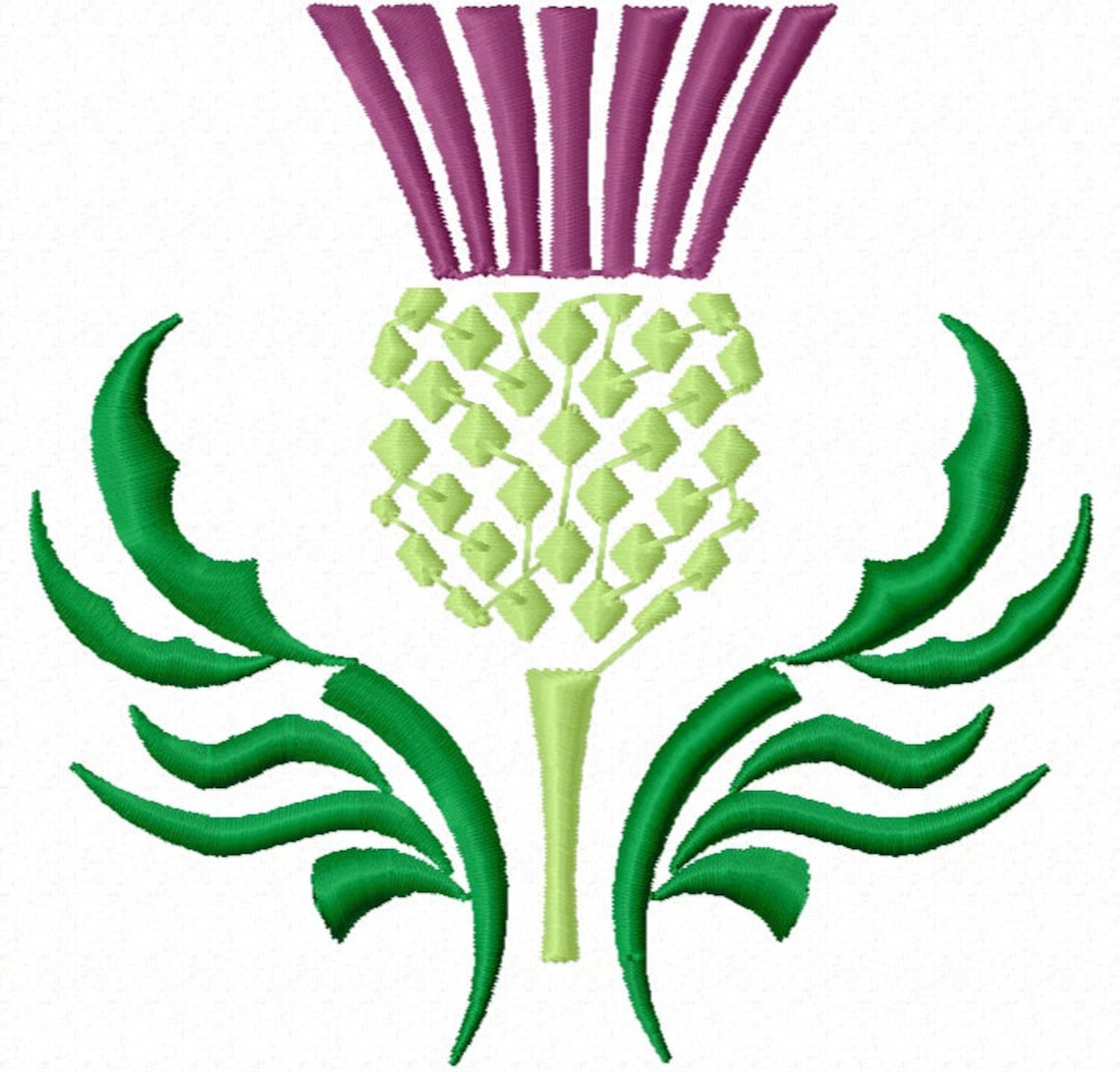 Thistle Embroidery Machine Embroidery Design - Etsy